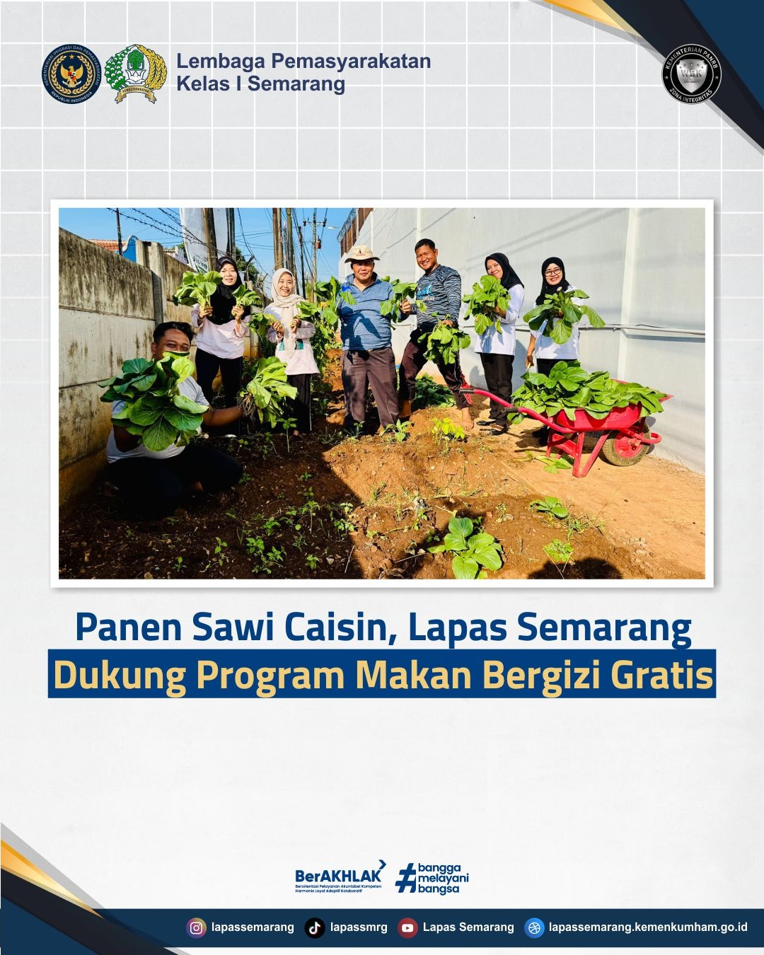 Panen Sawi Caisin, Lapas Semarang Dukung Program Makan Bergizi Gratis ...